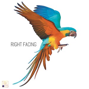 Macaw Vinyl Sticker, Blue Gold Macaw Sticker, Realistic Macaw Bird ...