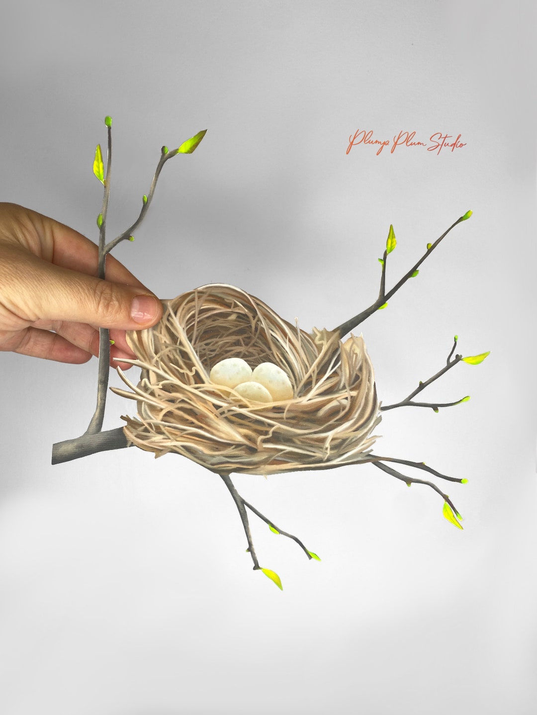 Cute Little Bird’s Nest Wall/window Vinyl Decal, Bird-nest Sticker ...