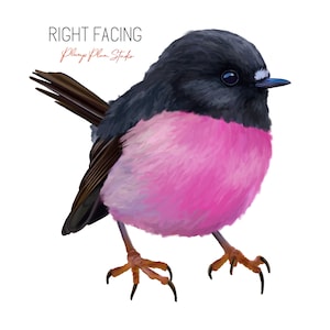 Pink Robin Decal, Pink Bird Sticker, Peel/stick, Light Switch Decal ...