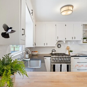 Australian Willie Wagtail Decal, Willy Wag Tail Textured Vinyl Sticker ...