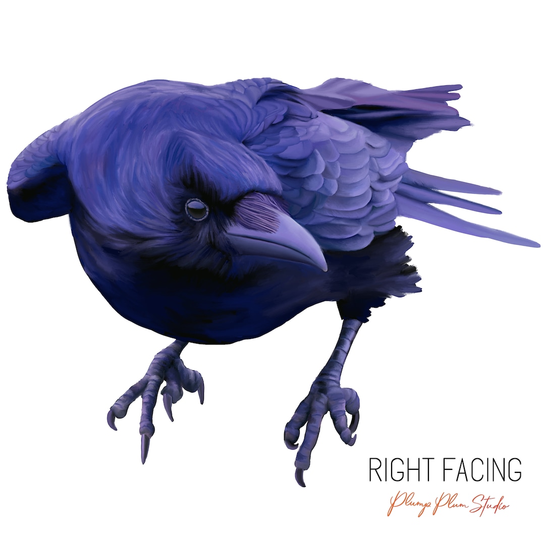 Raven Decal, Perched Raven, Bird Lover Gift, Illustrated Raven Sticker ...