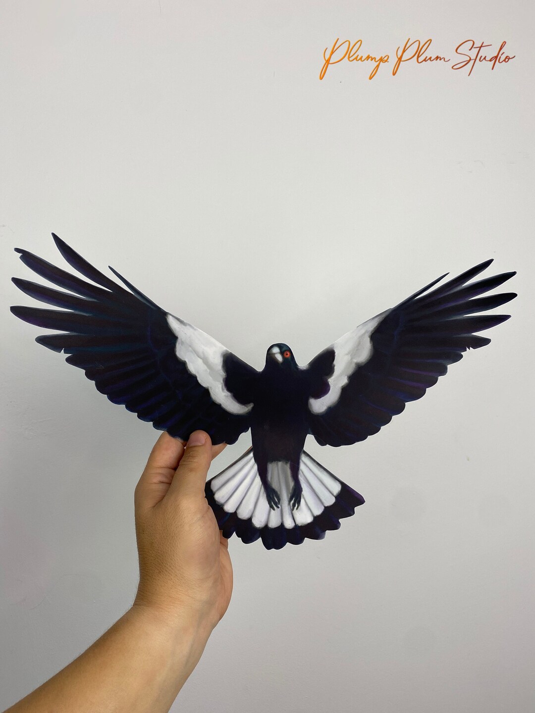 Swooping Magpie Decal Australian Magpie Bird Lover Gift - Etsy