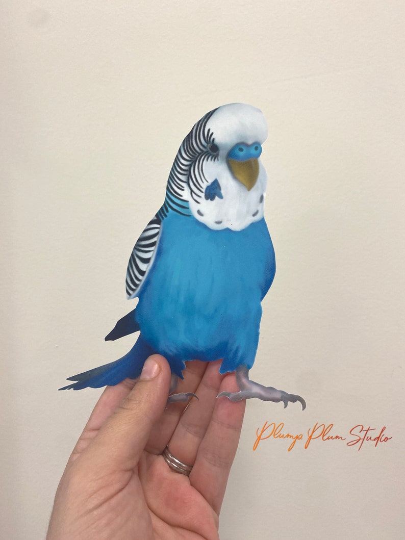 Budgie Decal Australian Budgie Sticker Peel and Stick Light | Etsy