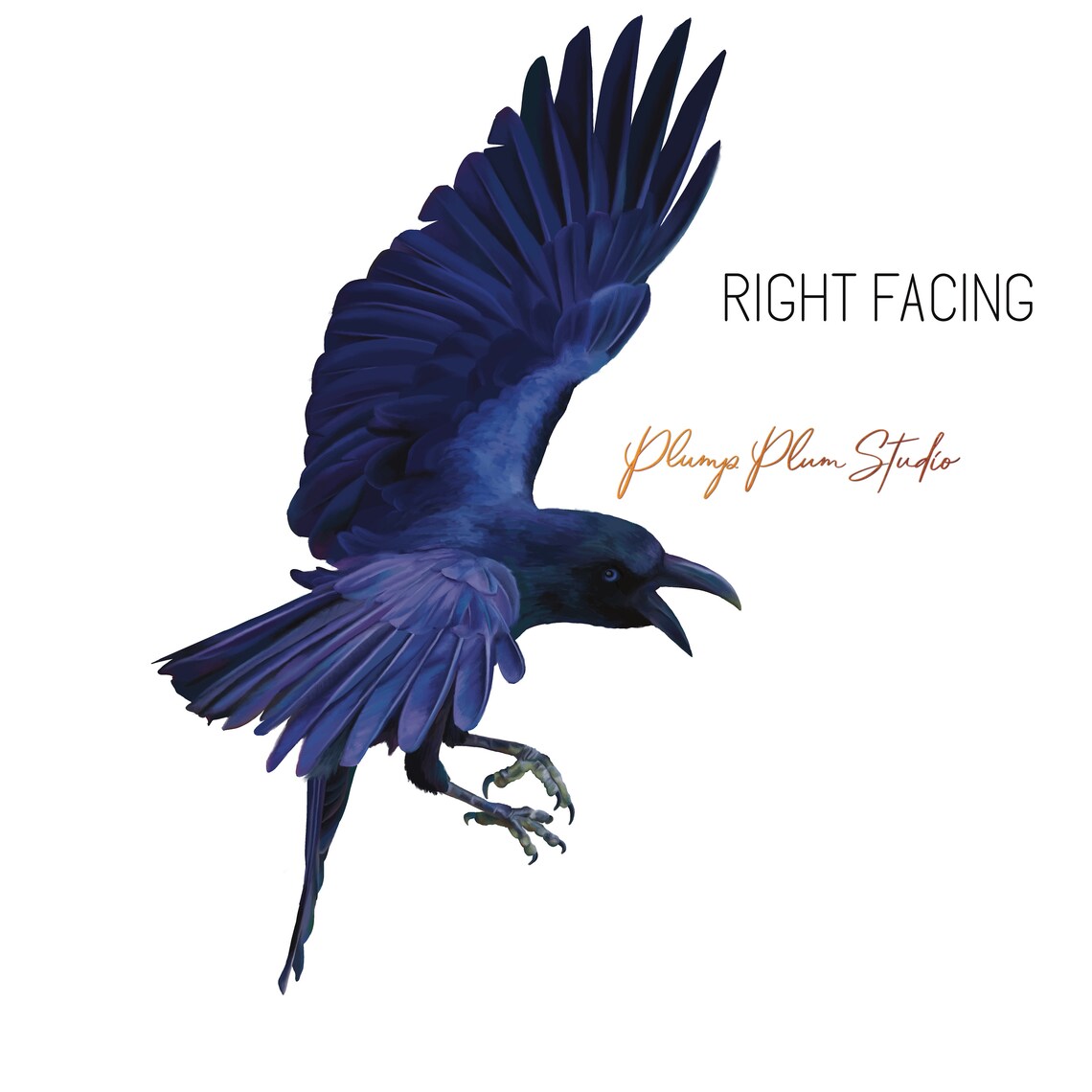 Crow Decal Flying Raven Vinyl Decal Bird Lover Gift - Etsy