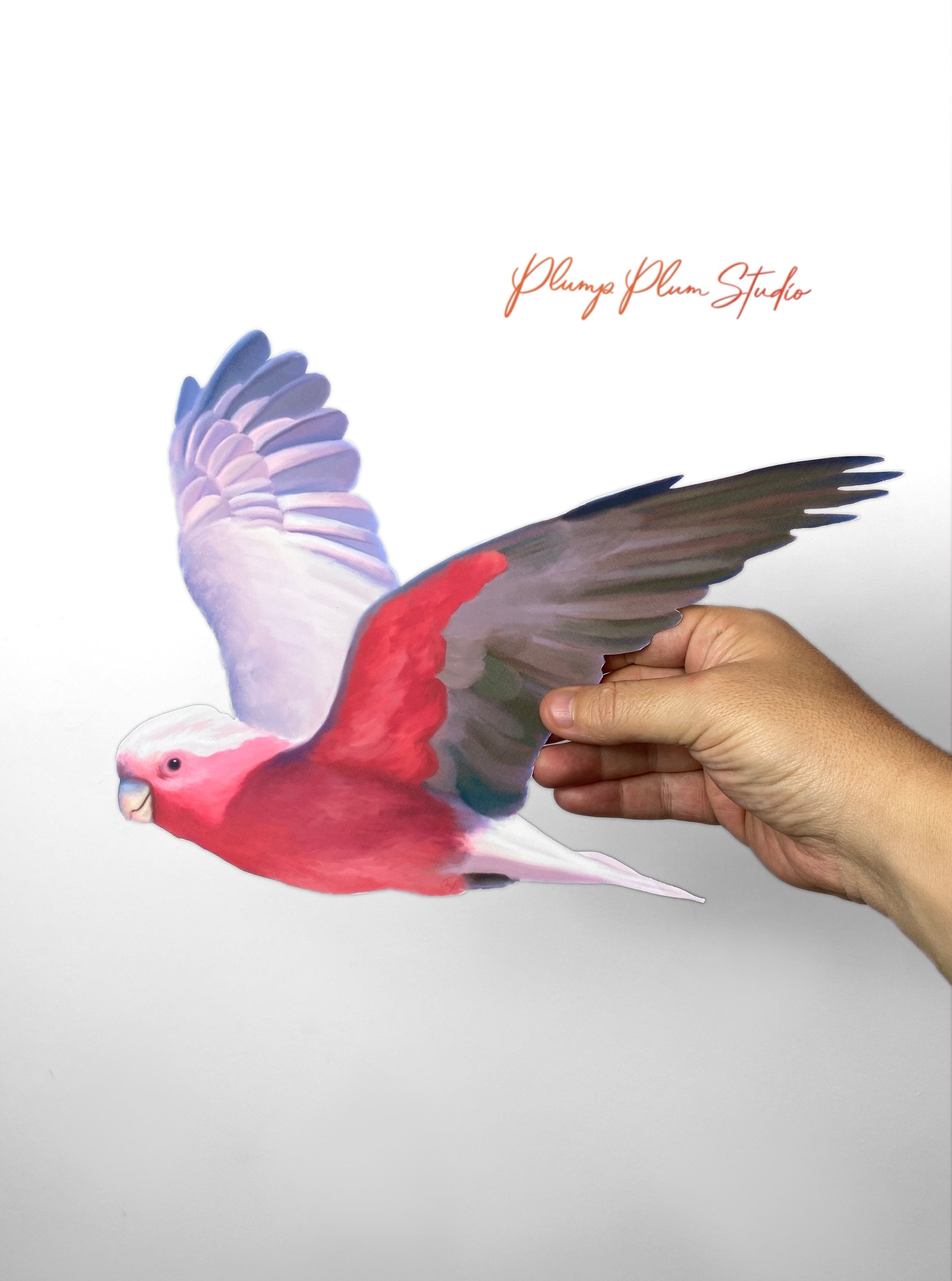 Galah Cockatoo Flying
