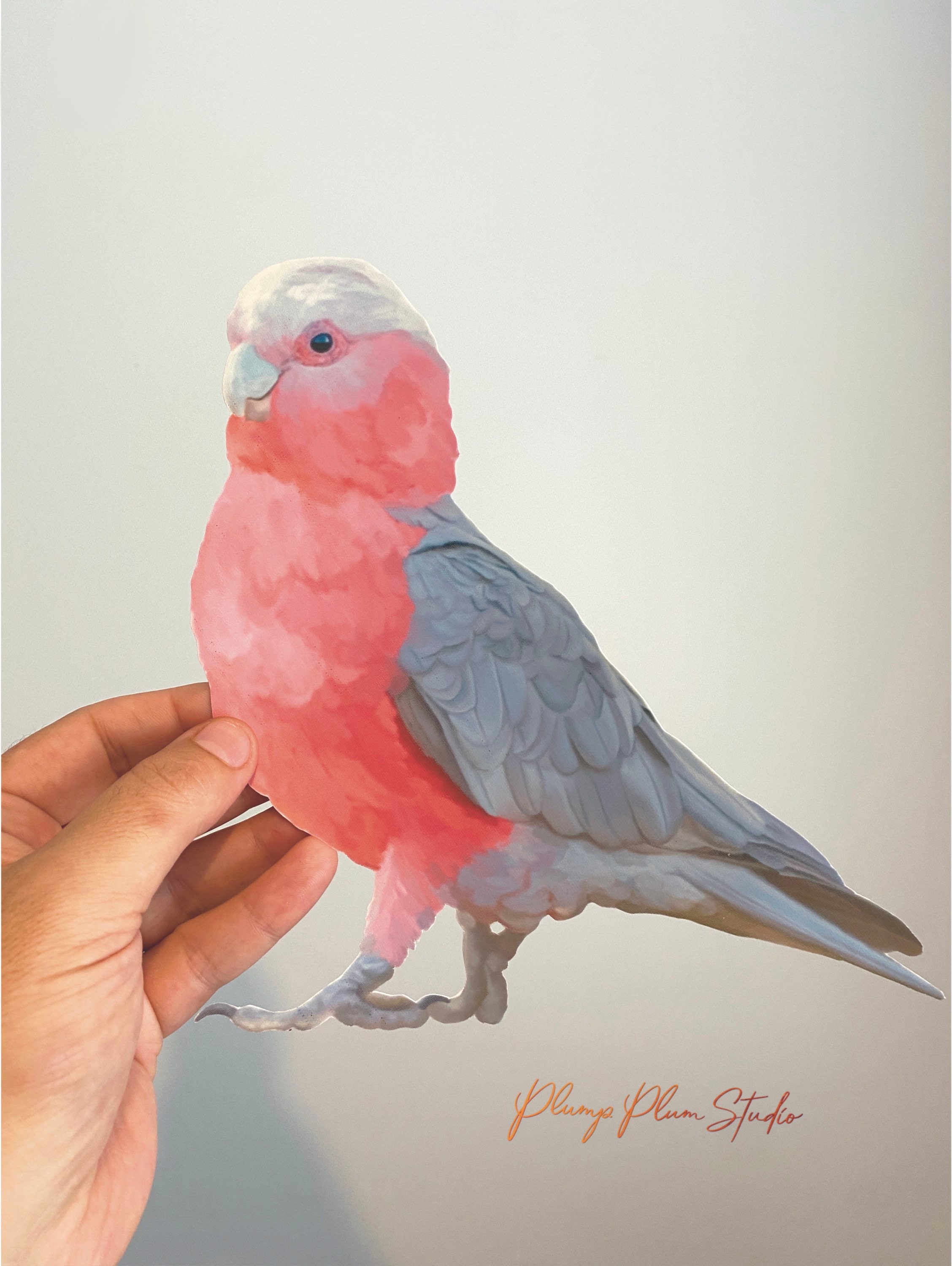 Australian Pink Parrots