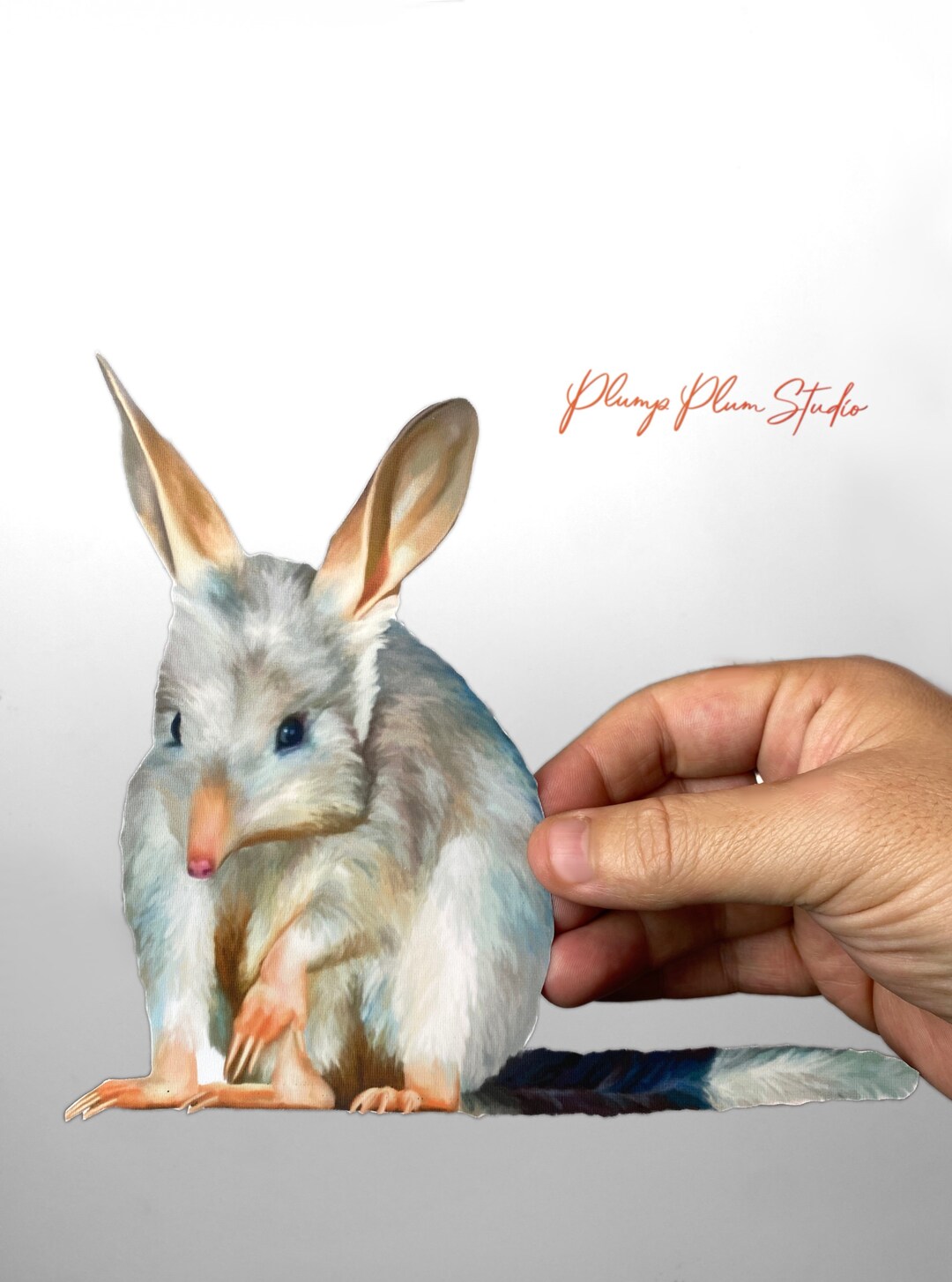 Bilby Decal, Illustrated Bilby Sticker, Australian Animal Marsupial ...