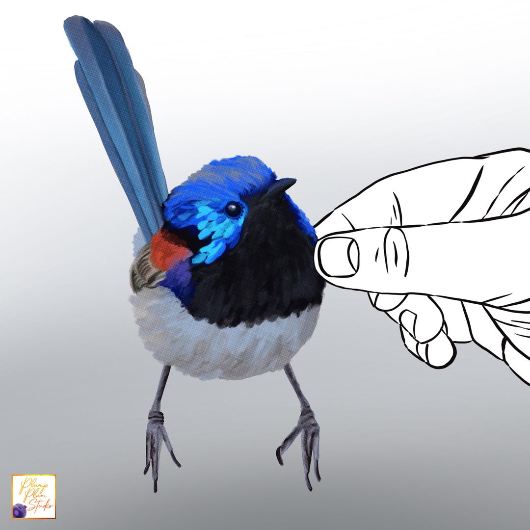 Variegated Fairy Wren Decal: Australian Bird Sticker - Etsy