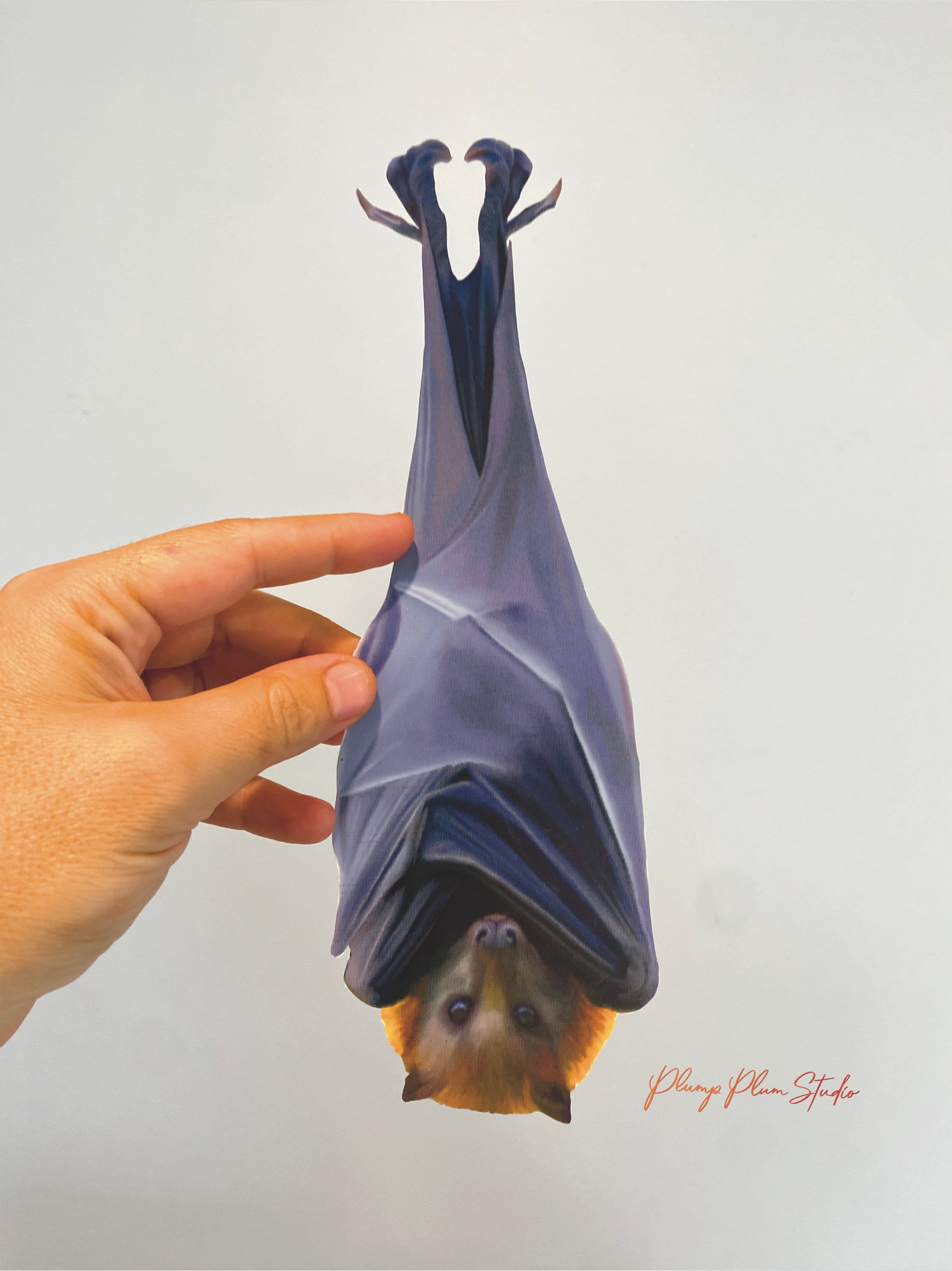 Australian Flying Fox Hands