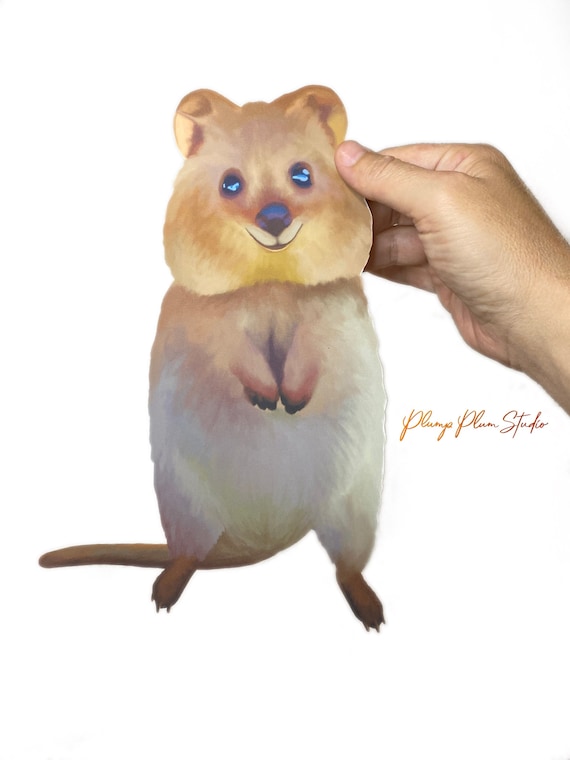 Smiling Australian Animal