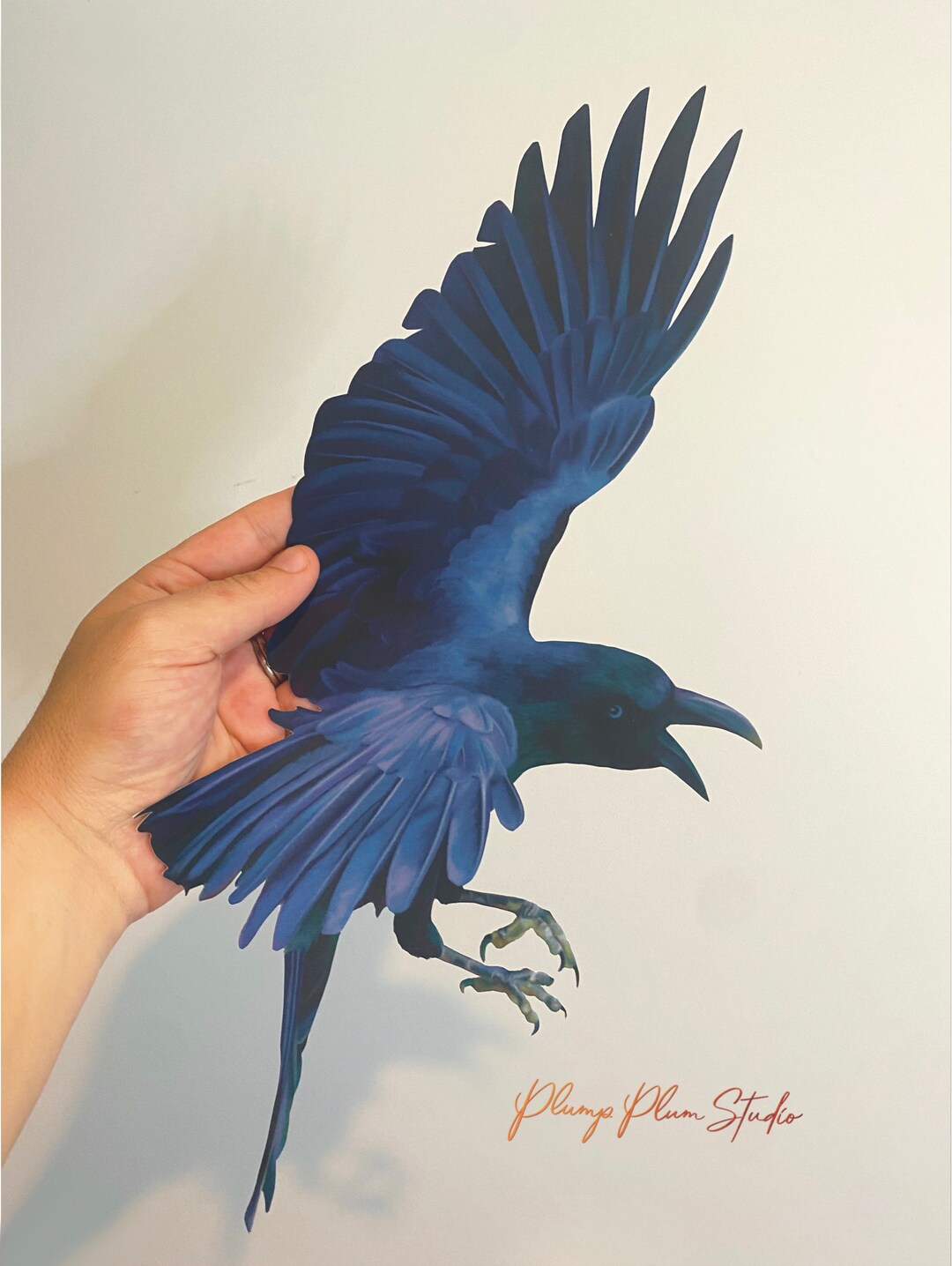 Crow Decal, Flying Raven Vinyl Decal, Bird Lover Gift, Illustrated ...