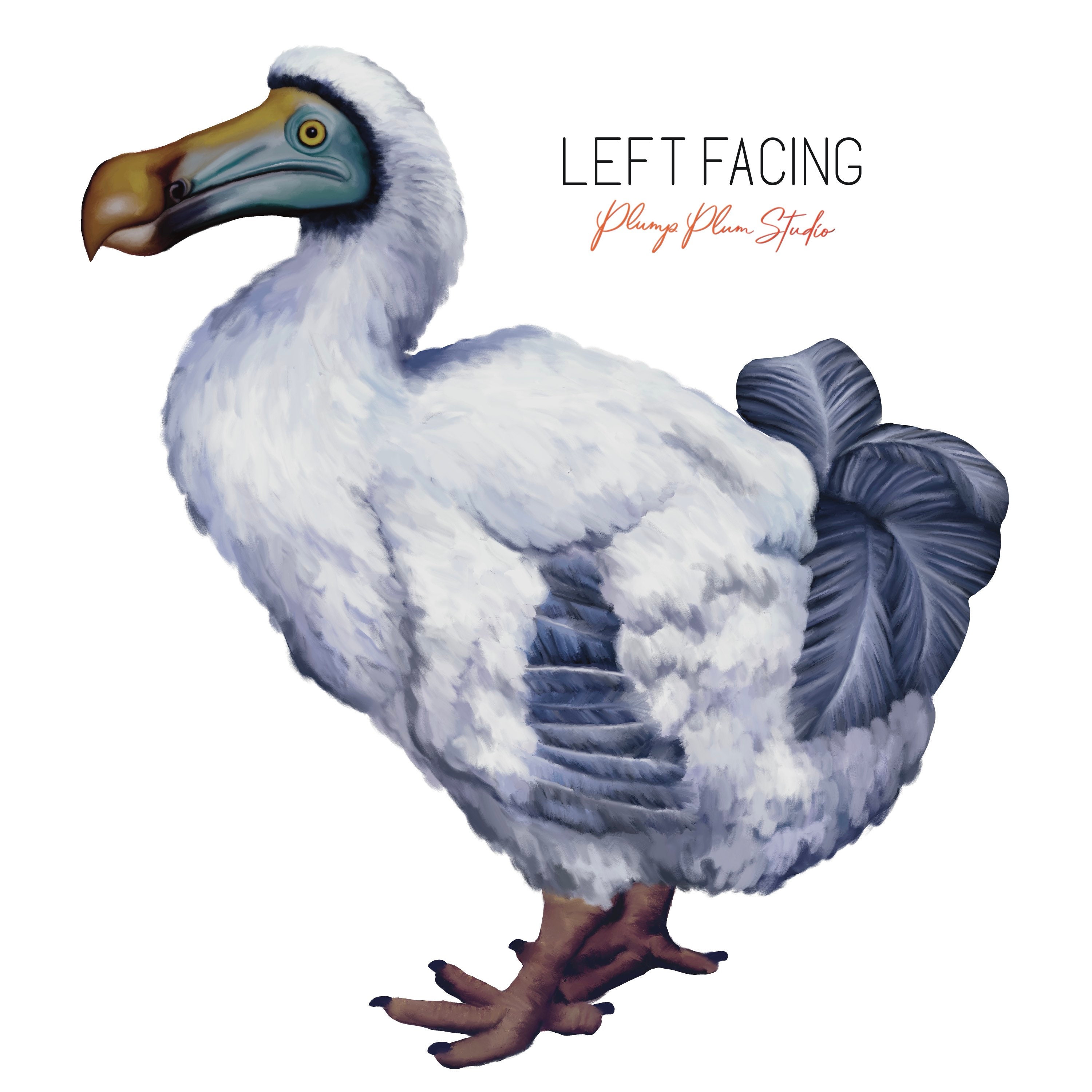 Fat Fluffy Dodo Decal Dodo Bird Sticker Light Switch Decal - Etsy Australia