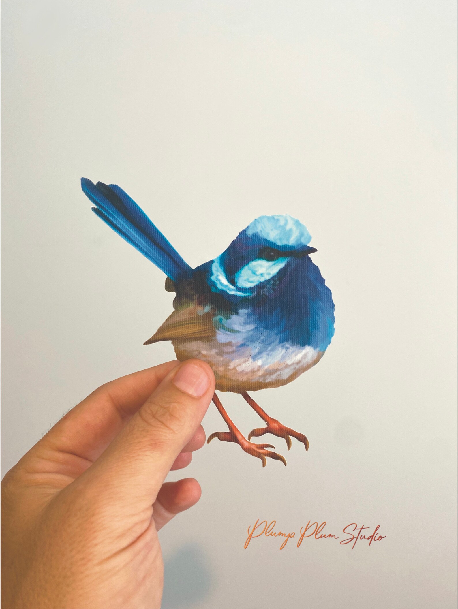 Superb Fairy Blue Wren Decal Australian Blue Wren Sticker - Etsy