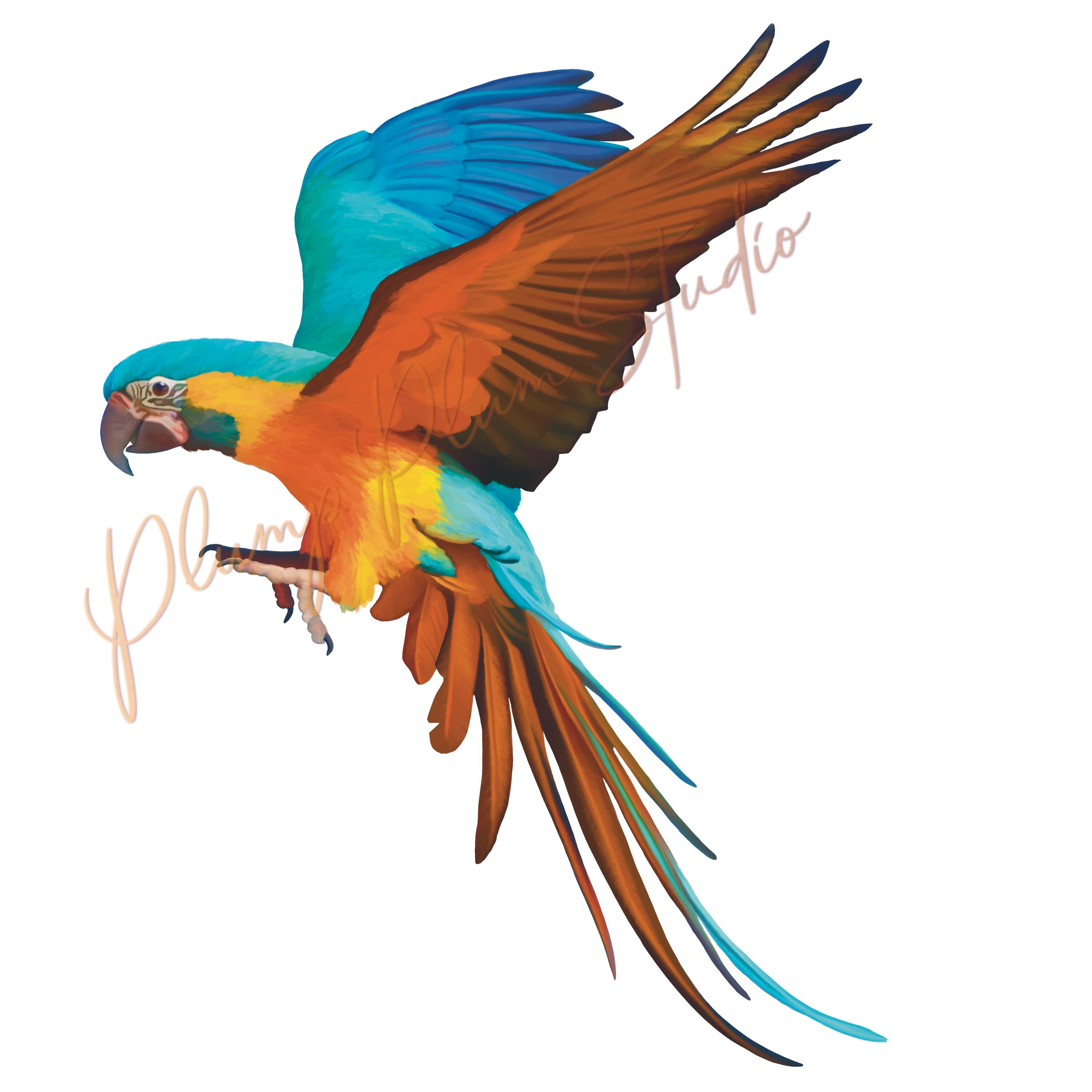 Macaw Vinyl Sticker Blue Gold Macaw Sticker Realistic Macaw - Etsy