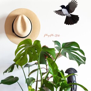 Australian Willie Wagtail Decal, Willy Wag Tail Textured Vinyl Sticker ...