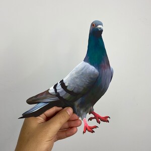 Pigeon Decal Elegant Pigeon Sticker Realistic Pigeon Bird - Etsy