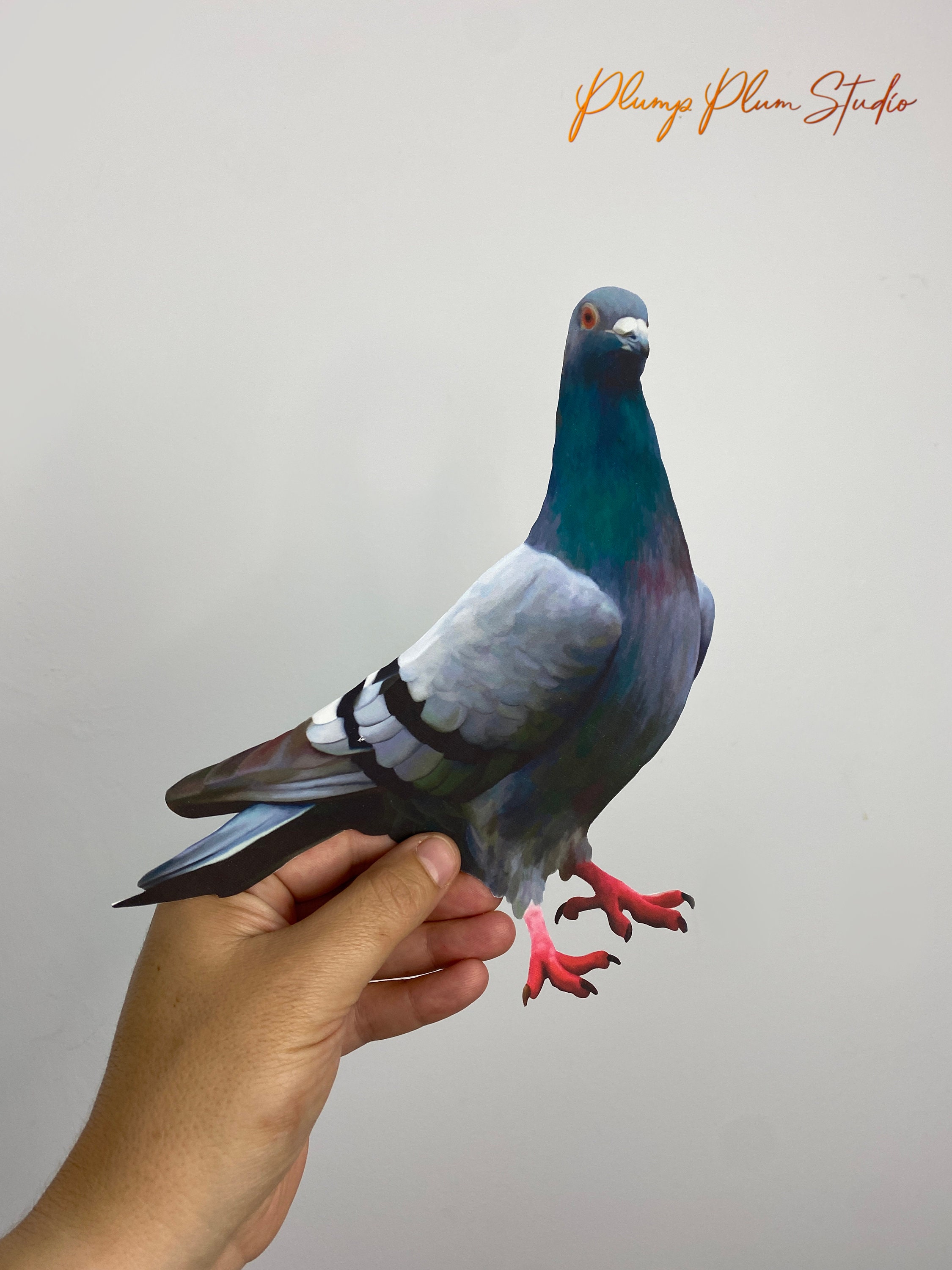Pigeon Decal Elegant Pigeon Sticker Realistic Pigeon Bird - Etsy
