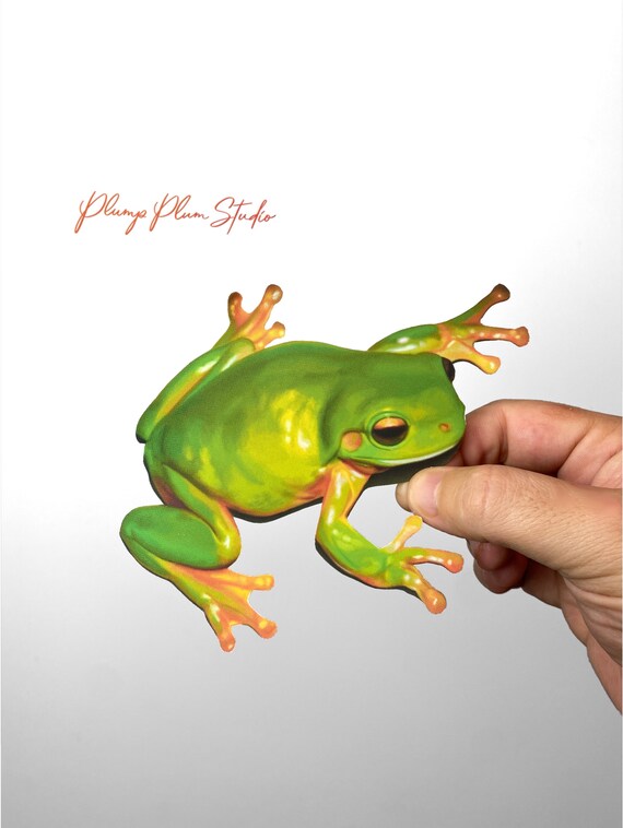 Australian Green Tree Frog Decal Green Tree Frog Sticker - Etsy