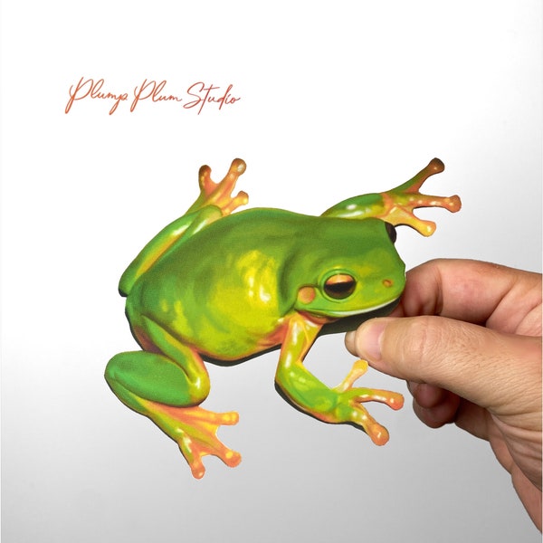 Frog Wall Decal - Etsy