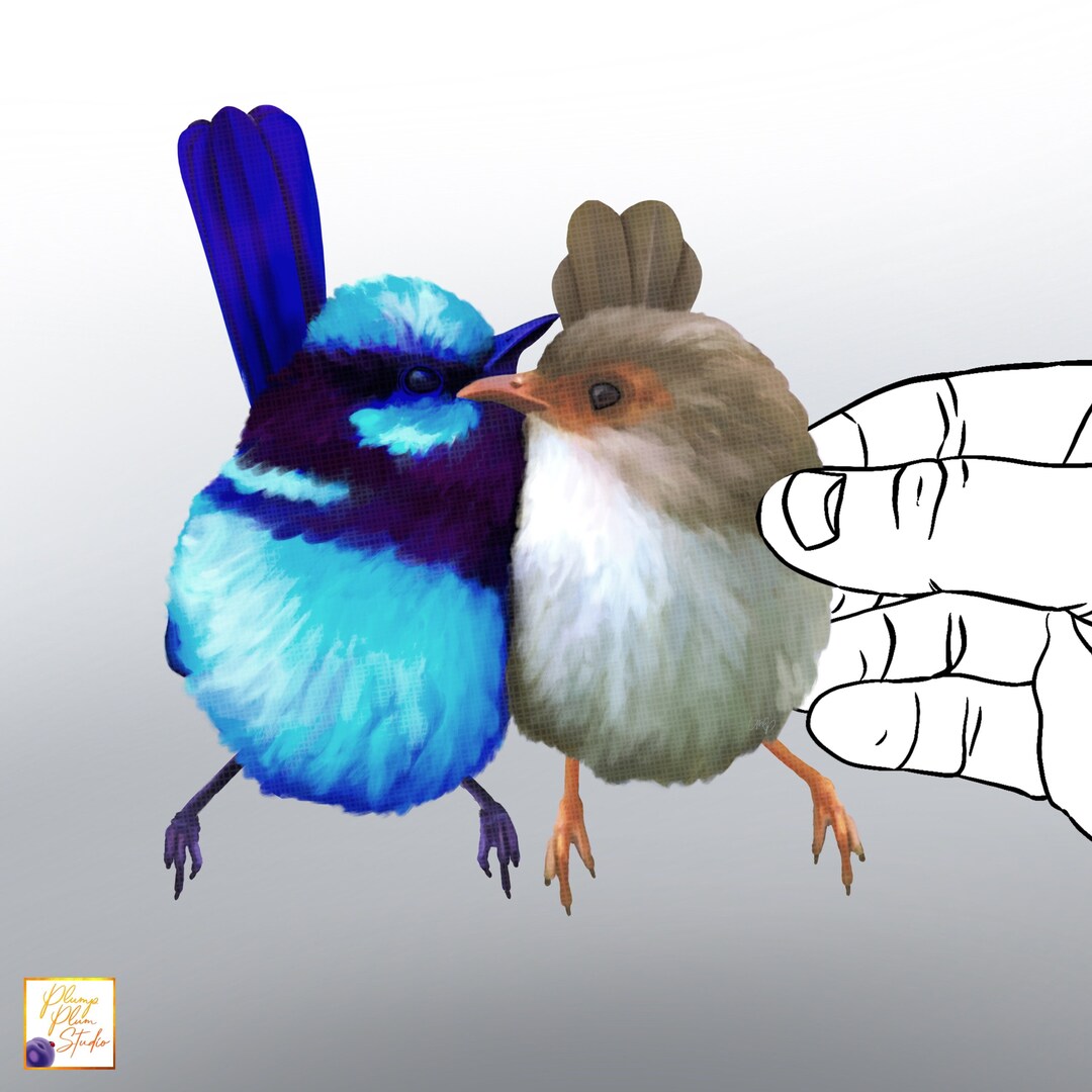 Blue Wren Love Pair Decal, Textured Vinyl Sticker - Etsy Australia
