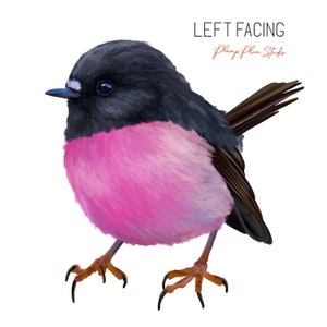 Pink Robin Decal, Pink Bird Sticker, Peel/stick, Light Switch Decal ...