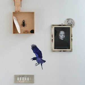 Crow Decal, Flying Raven Vinyl Decal, Bird Lover Gift, Illustrated ...