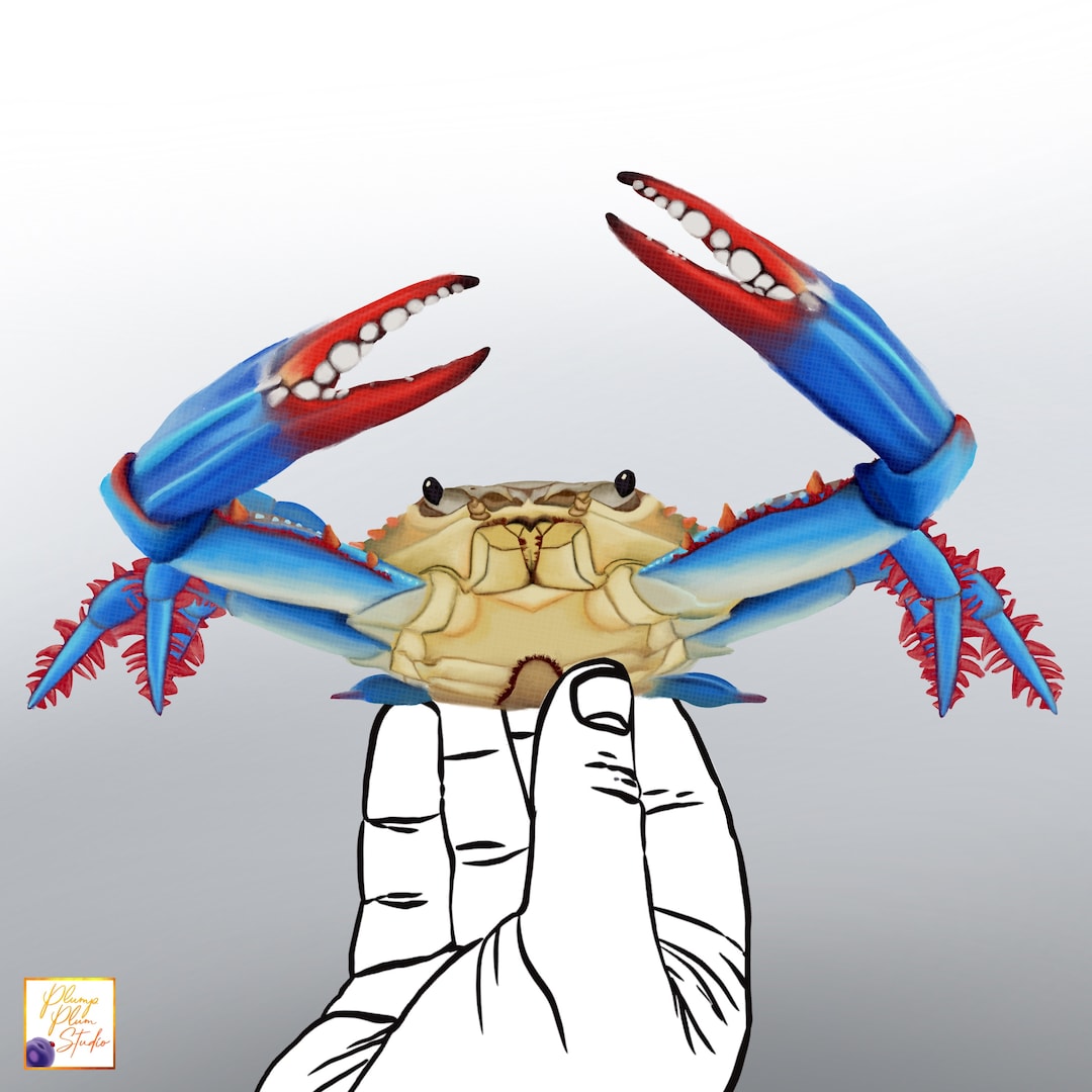 Blue Crab Decal, Chesapeake Blue Crab Sticker, Peel/stick, Wall or Car ...