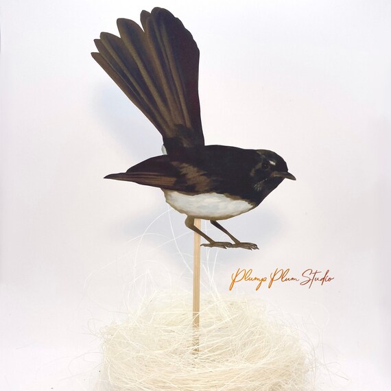 Australian Willie Wagtail Decal Willy Wag Tail Sticker Peel - Etsy ...