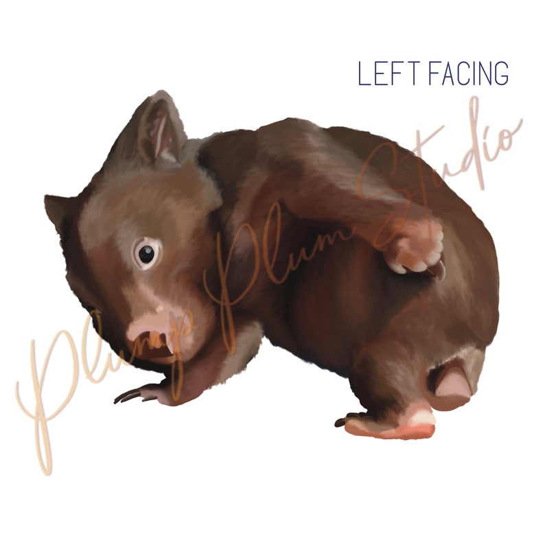 Realistic Wombat Decal: Australian Animal Sticker, Textured Vinyl - Etsy