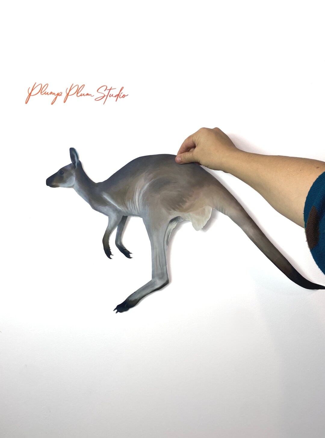 Kangaroo Decal, Australian Animal Sticker, Nature Lover Gift, Realistic ...