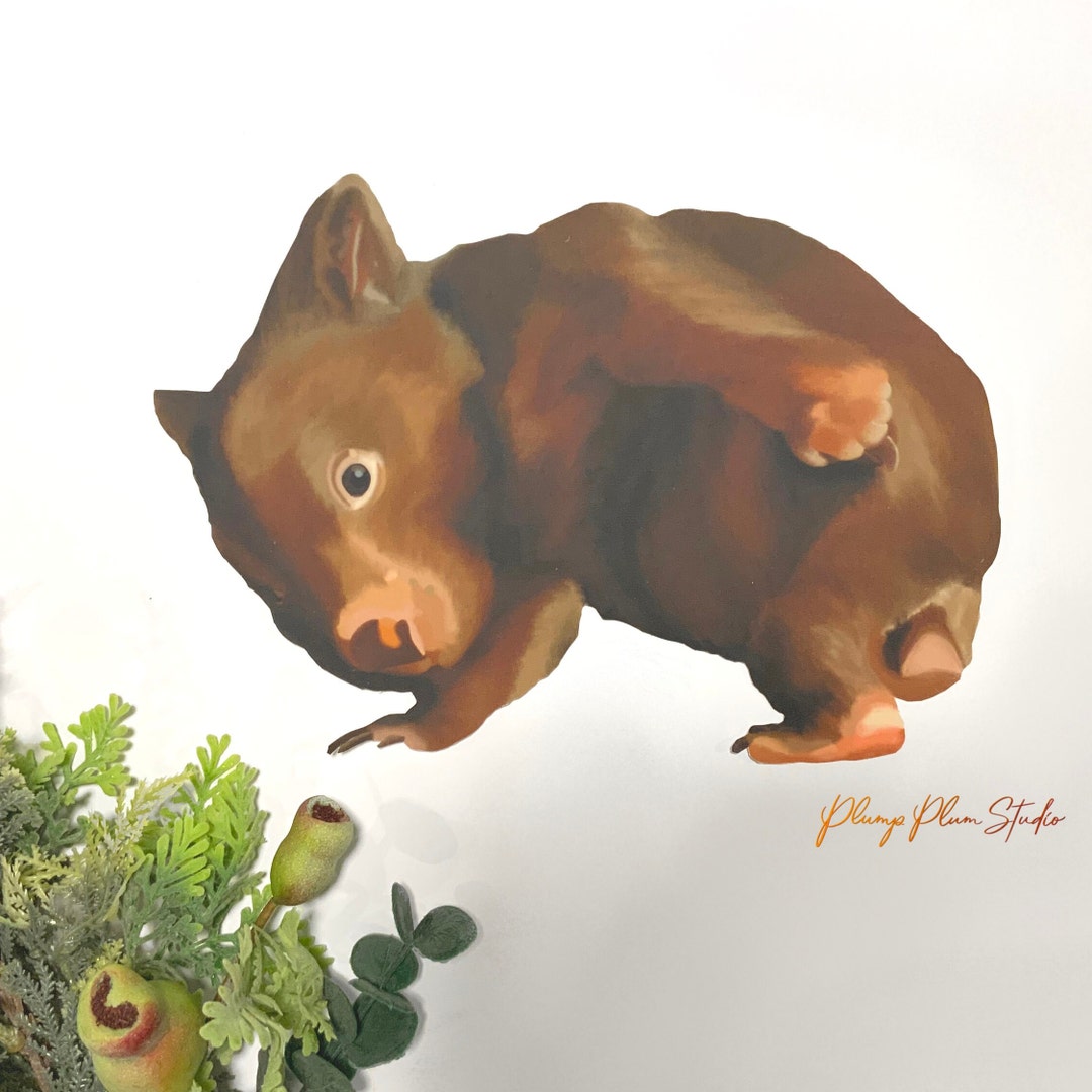 Realistic Wombat Decal Australian Animal Sticker Illustrated - Etsy
