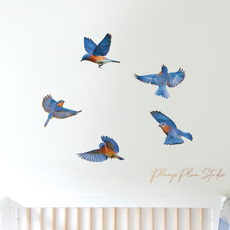 Bird Decals for Wall - Etsy
