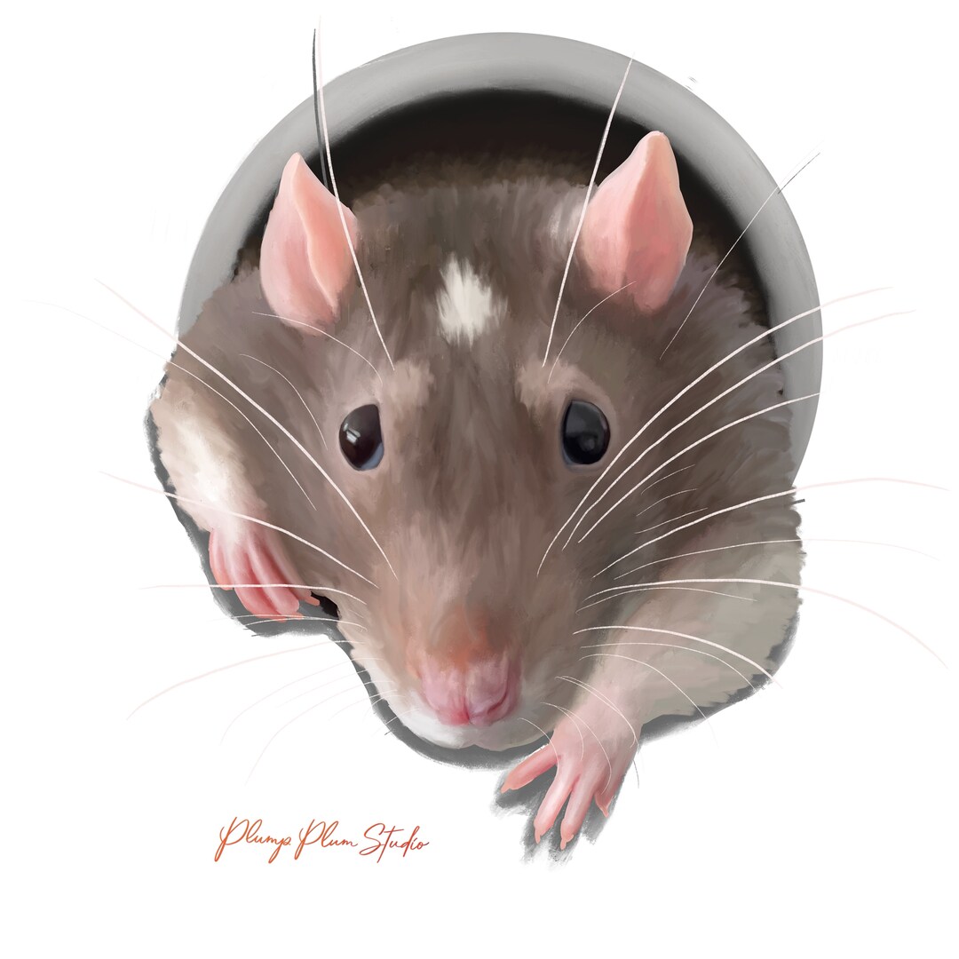 Realistic Rat Decal, Rat Hole, Illustrated Rat Decal, Rat Wall Sticker ...