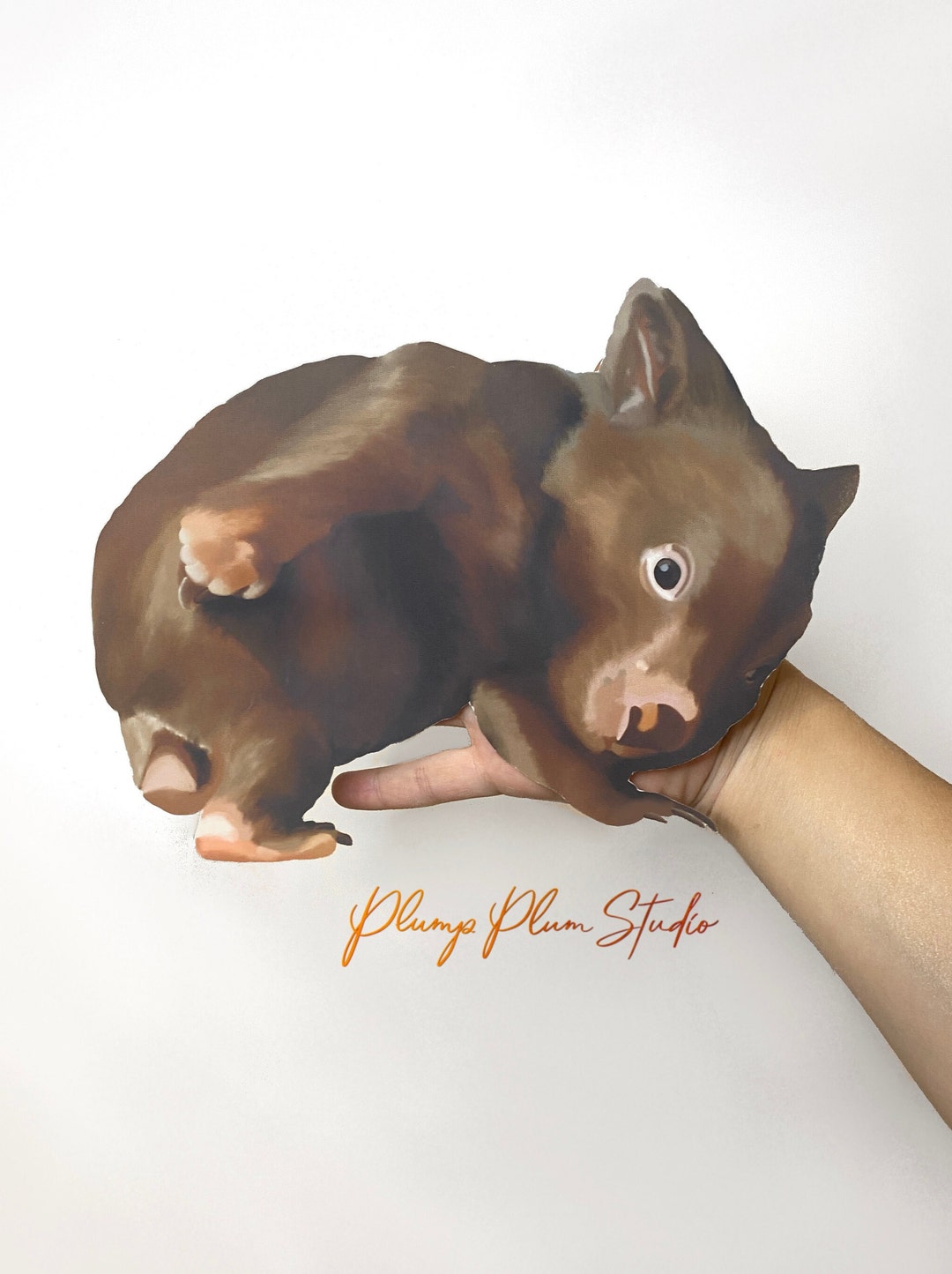 Realistic Wombat Decal, Australian Animal Sticker, Illustrated Wombat ...