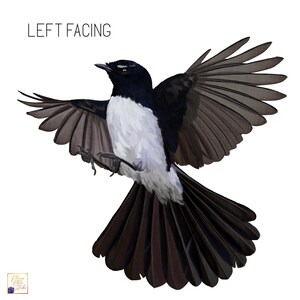 Australian Willie Wagtail Decal, Willy Wag Tail Textured Vinyl Sticker ...