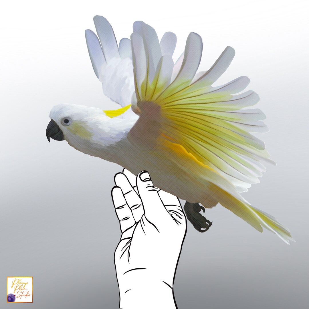 Cockatoo Decal, Flying Cockatoo, Australian Themed Decor, Yellow ...