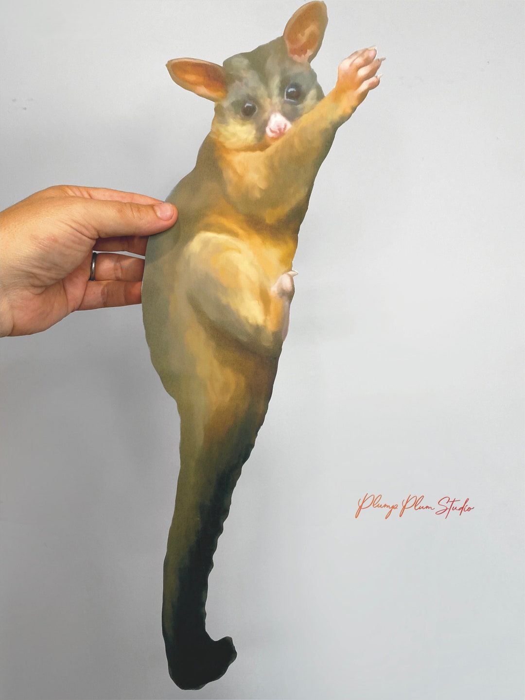 Possum Decal, Australian Brushtail Possum Sticker, Australian Animal ...