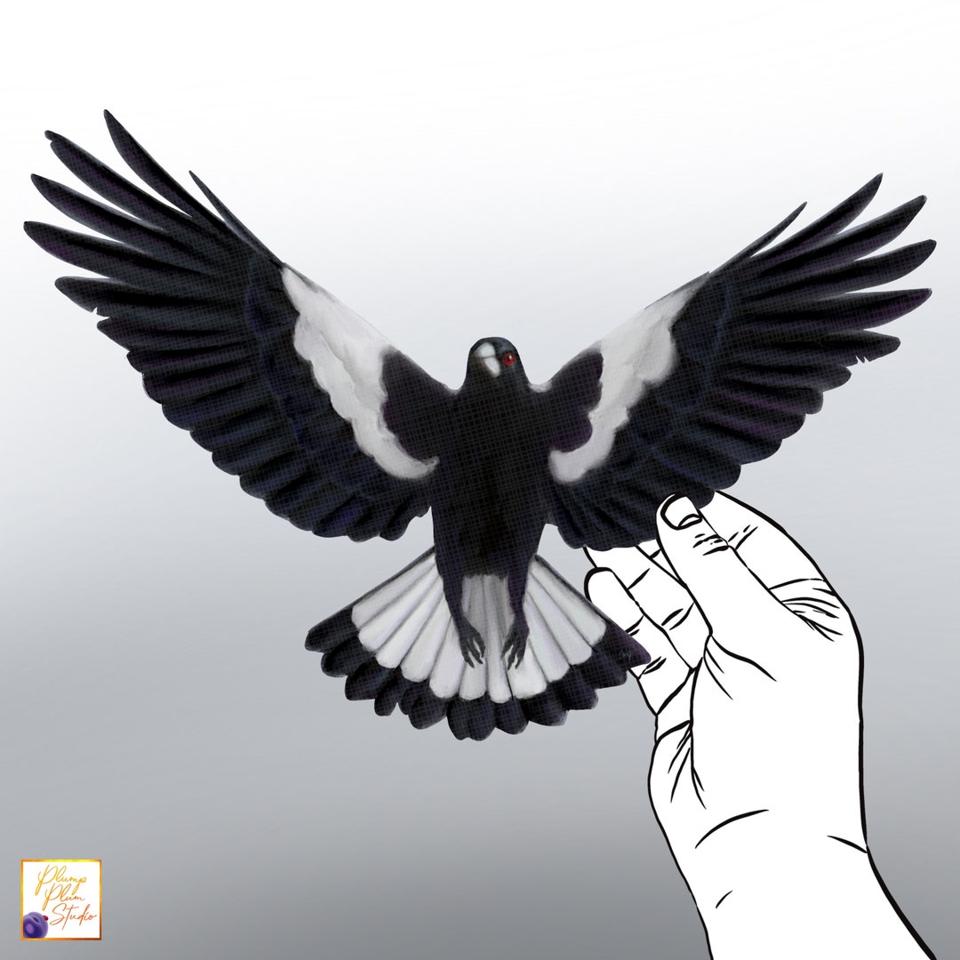 Swooping Australian Magpie Decal: Textured Vinyl, Repositionable Wall ...