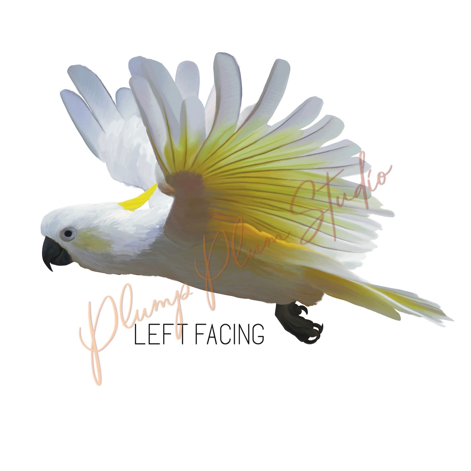 Cockatoo Decal Flying Cockatoo Australian Themed Nursery - Etsy