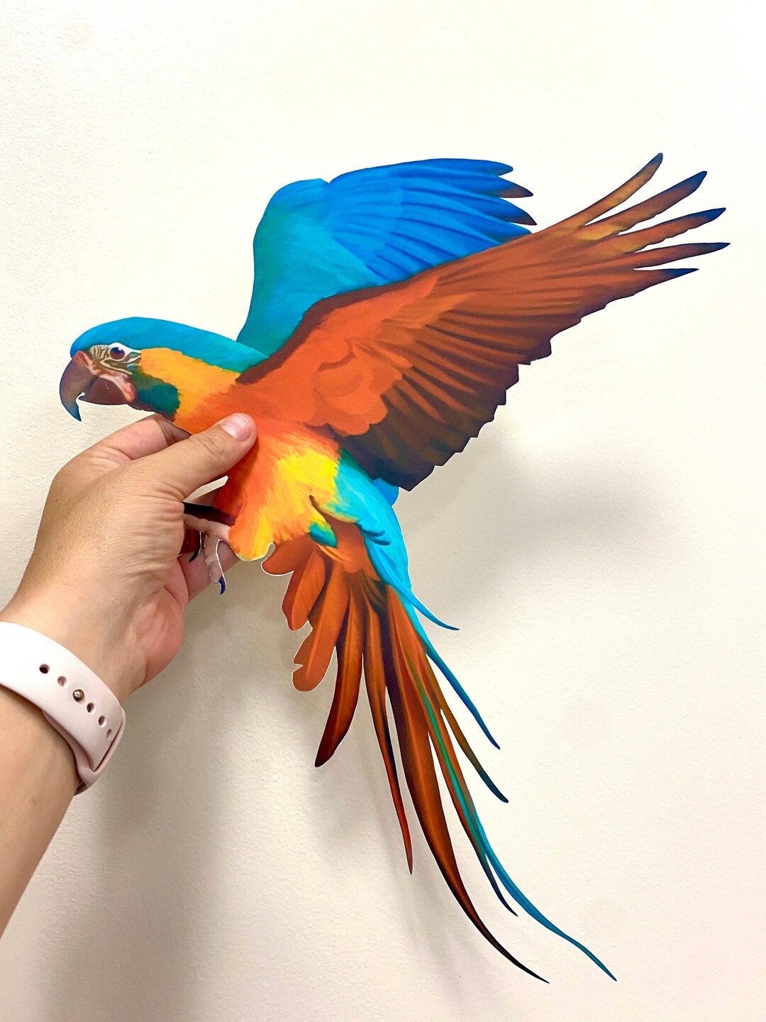 Macaw Vinyl Sticker Blue Gold Macaw Sticker Realistic Macaw - Etsy