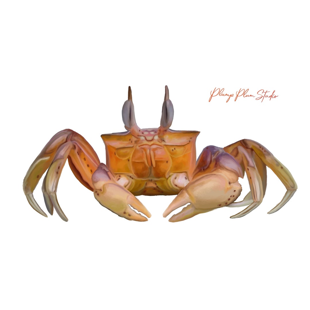 Ghost Crab Decal Crab Sticker Peel/stick Light Switch - Etsy