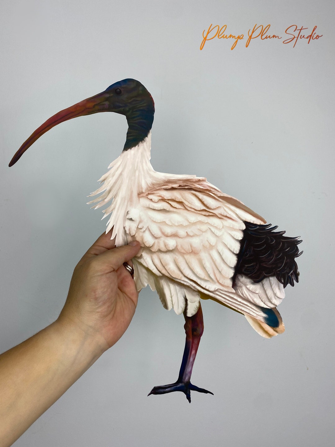 Bin Chook Decal, Australian White Ibis Decal, Realistic Bird Decal ...