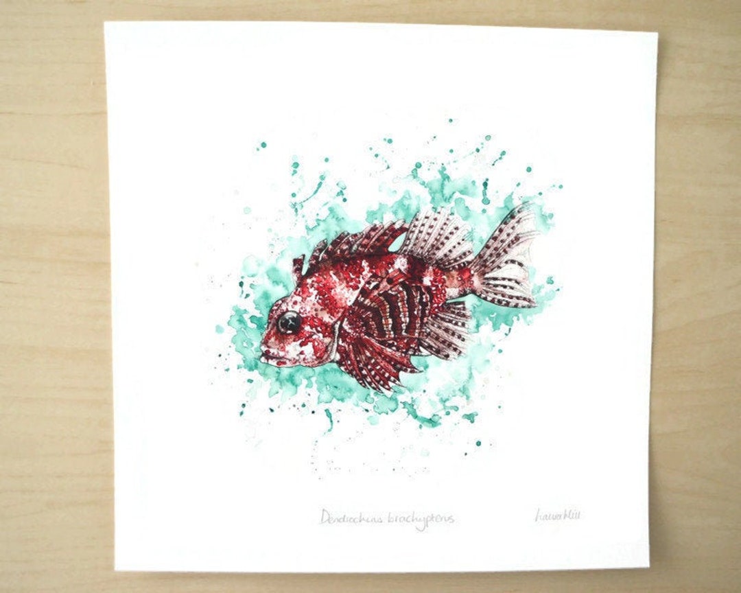 Fuzzy Dwarf Lionfish Lionfish Wildlife Print Ocean Art - Etsy