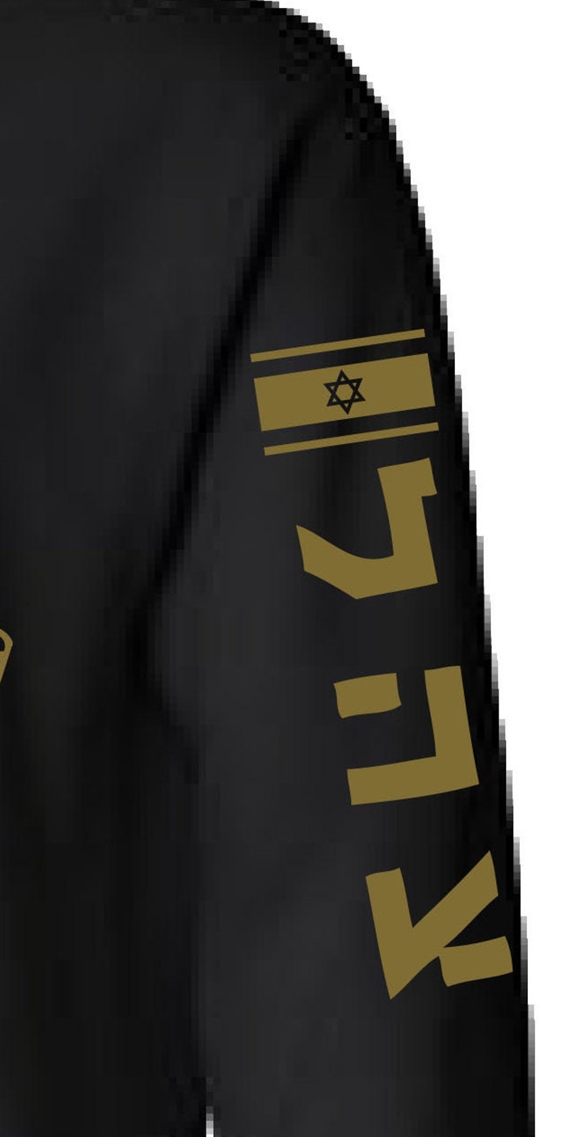 Israeli Army Hoodie IDF (israeli Defense Force ) Military Shiny Gold ...