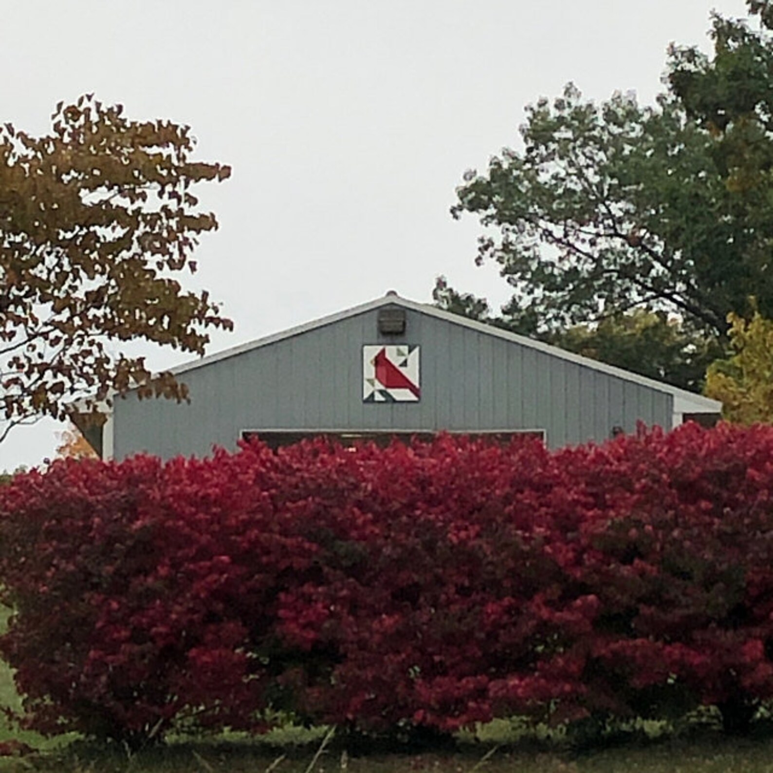 Cardinal Barn Quilt 2'x2' - Etsy