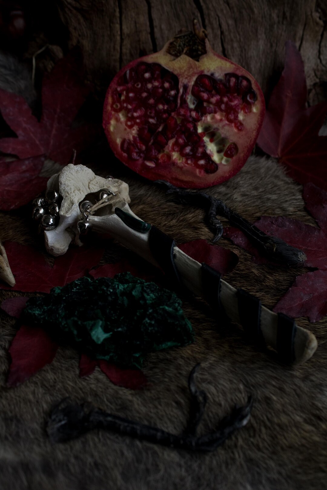 Vertebra Ritual Bone Rattle - With Chrysocolla Gemstone - Etsy