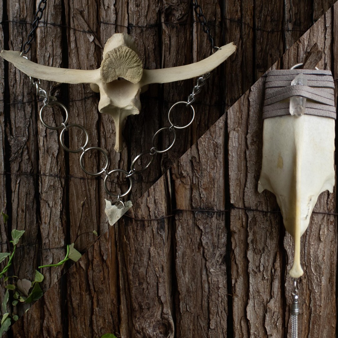 Bone Wall Hangers - Big Vertebra Wall Hanger - Small Bone Wall Hanger ...