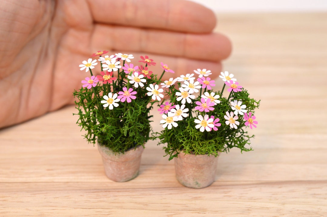 12 Miniature Cosmos Flowers Kit Flower 1:12 Scale Dolls House Garden ...