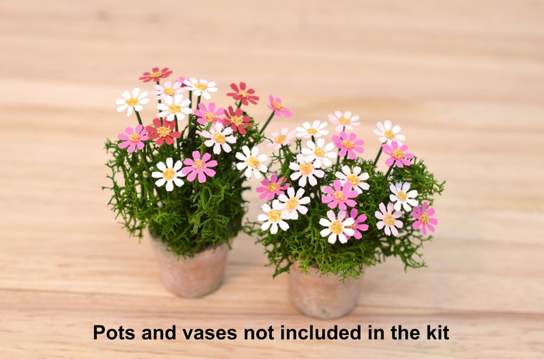 12 Miniature Cosmos Flowers Kit Flower 1:12 Scale Dolls House Garden ...