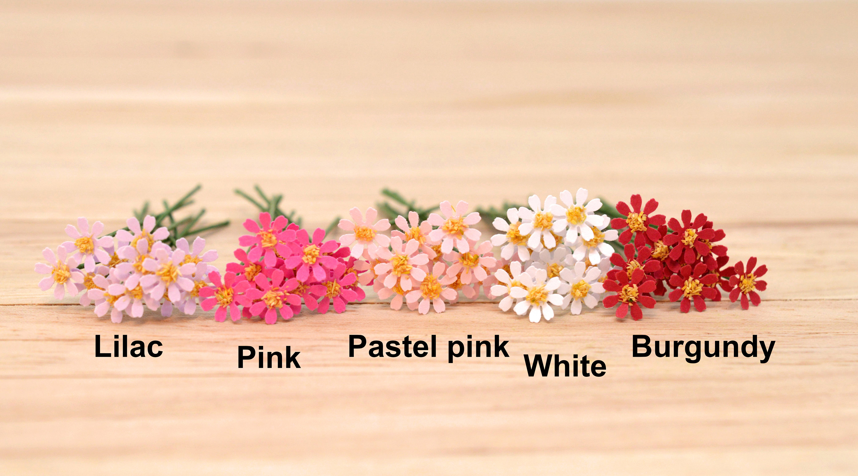 12 Miniature Cosmos Flowers Kit Flower 1:12 Scale Dolls House Garden ...